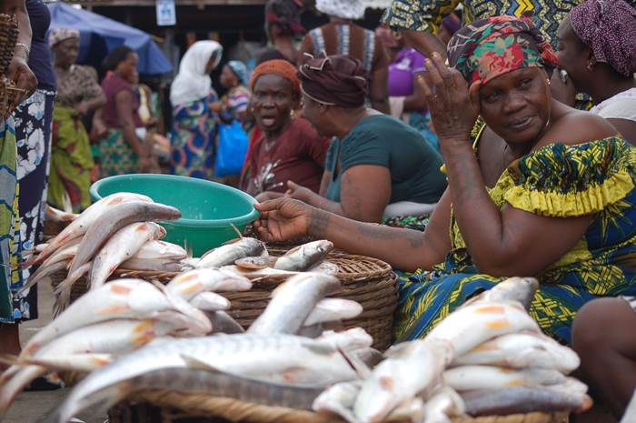 Sulayman Afose | Zaccheus Onumba Dibiaezue Memorial Libraries
